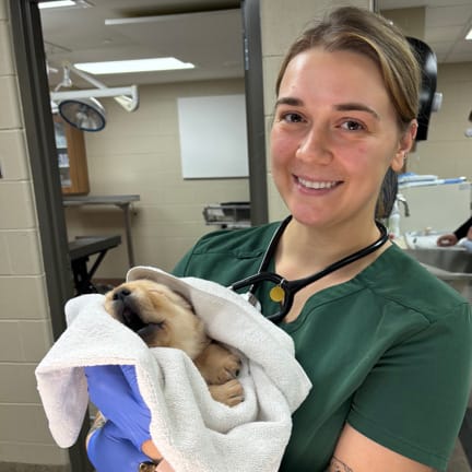 My Veterinary Externship at Leader Dog - Leader Dogs for the Blind